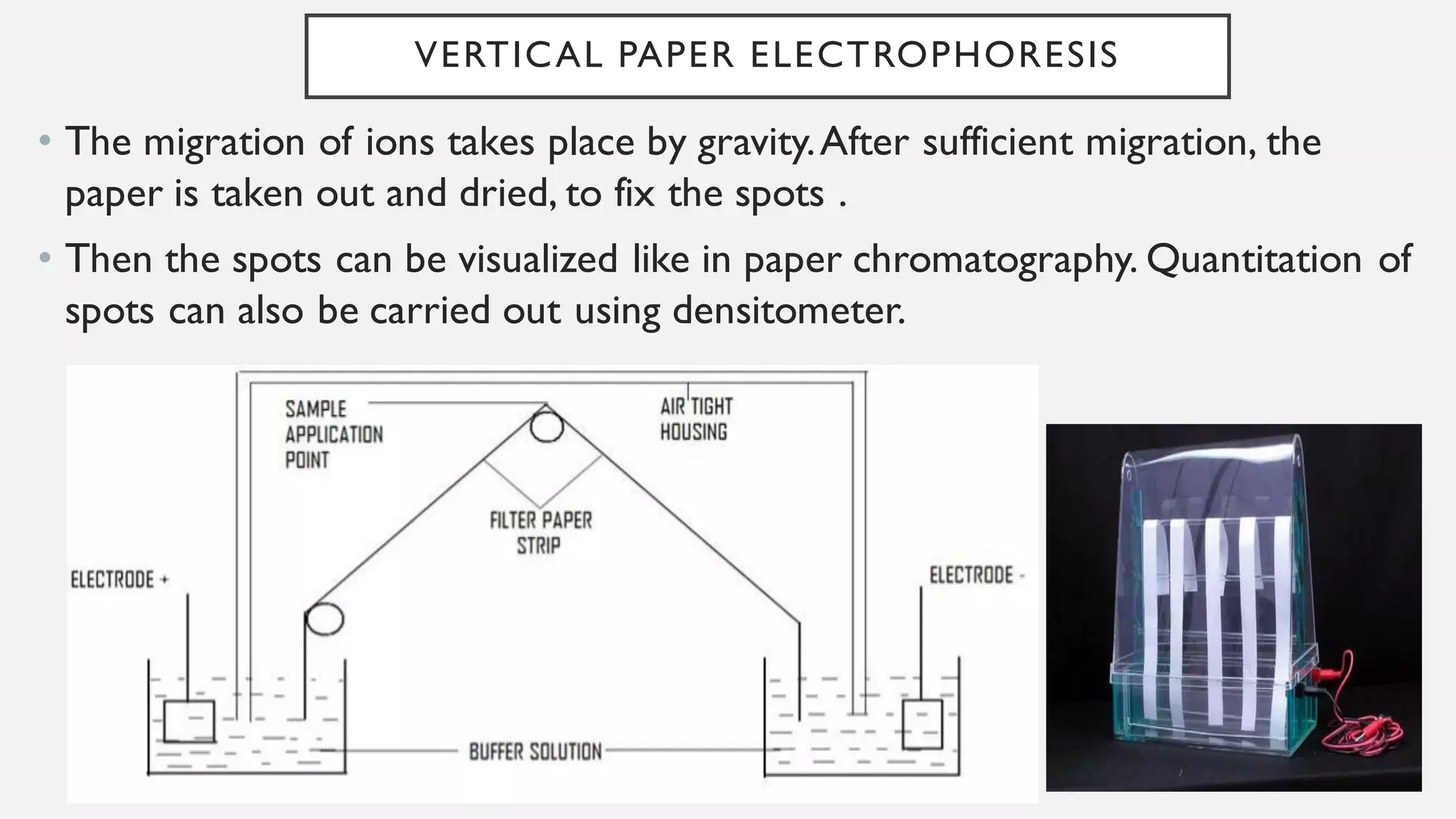 Paper and gel electrophoresis.pdf
