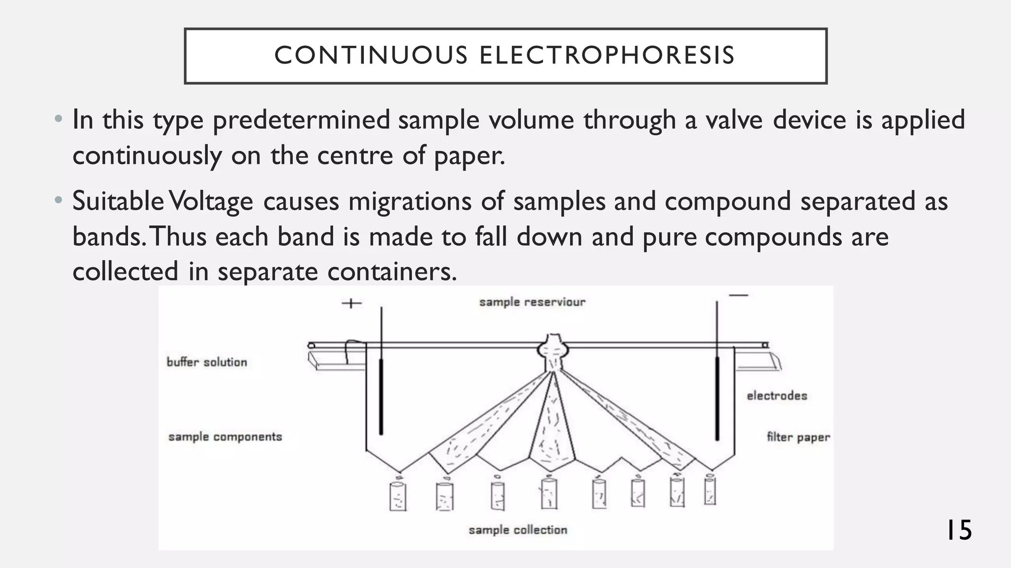 Paper and gel electrophoresis.pdf