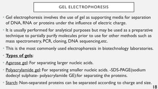 Paper and gel electrophoresis.pdf