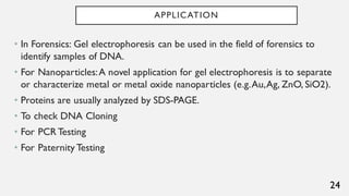 Paper and gel electrophoresis.pdf