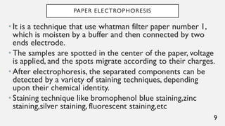 Paper and gel electrophoresis.pdf