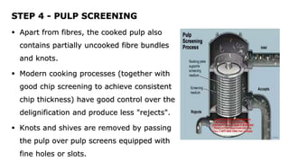 Paper and Pulp Indutry.pptx