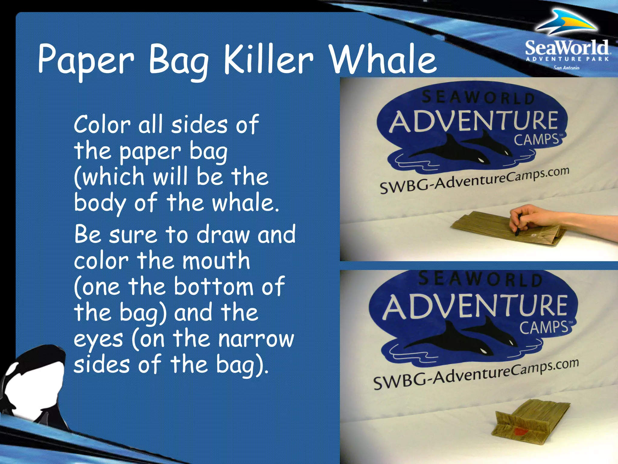 Killer Whale Activity | PPT | Zoos & Aquariums | Attractions