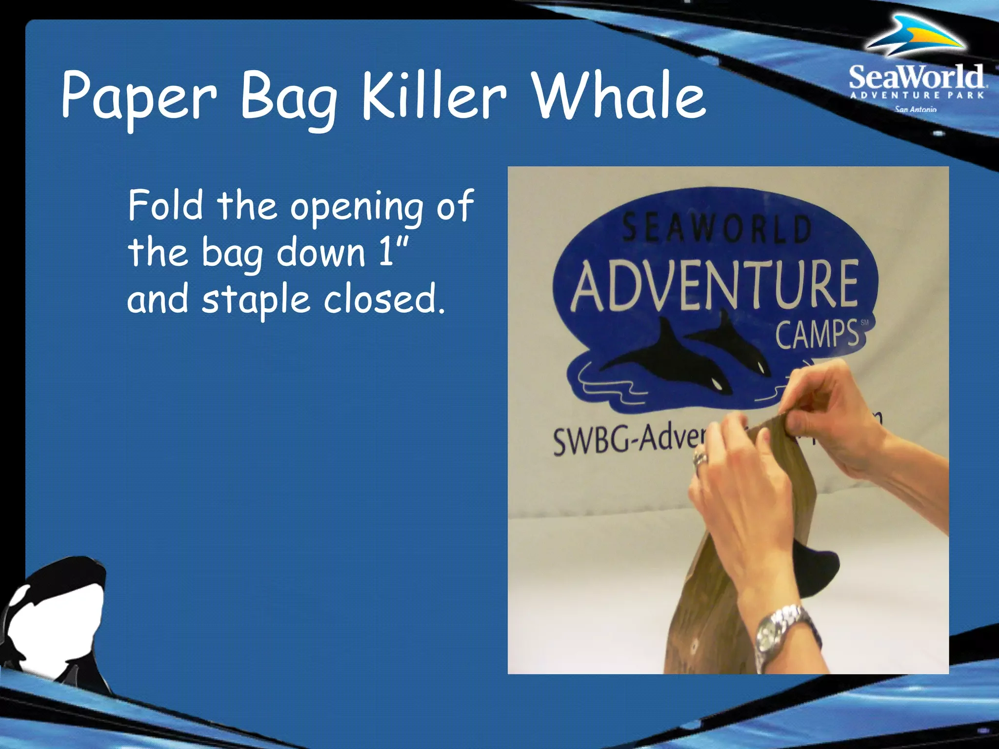 Killer Whale Activity | PPT | Zoos & Aquariums | Attractions