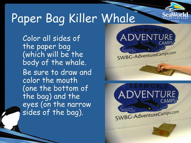 Killer Whale Activity | PPT | Zoos & Aquariums | Attractions