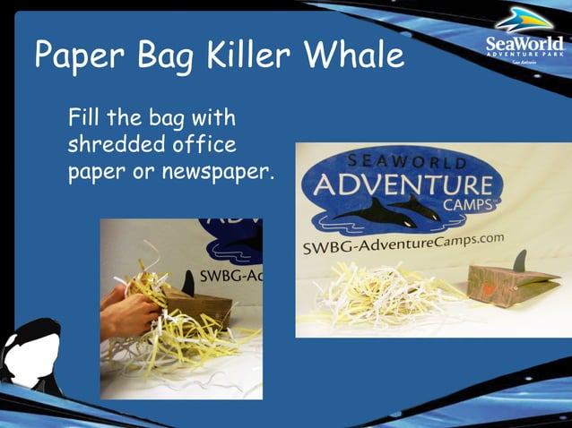 Killer Whale Activity | PPT | Zoos & Aquariums | Attractions