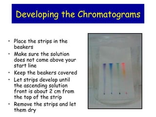 Paper Chromatography | PPT