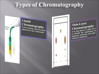 Paper chromatography | PPT