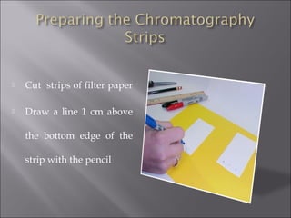 Paper chromatography | PPT