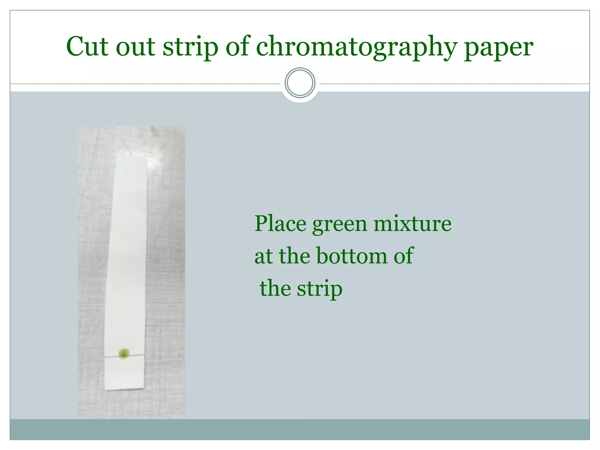 Paper chromatography | PPT