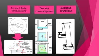 Paper chromatography | PPTX