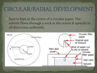 Paper chromatography.pdf