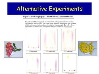 Paper chromatography | PPT