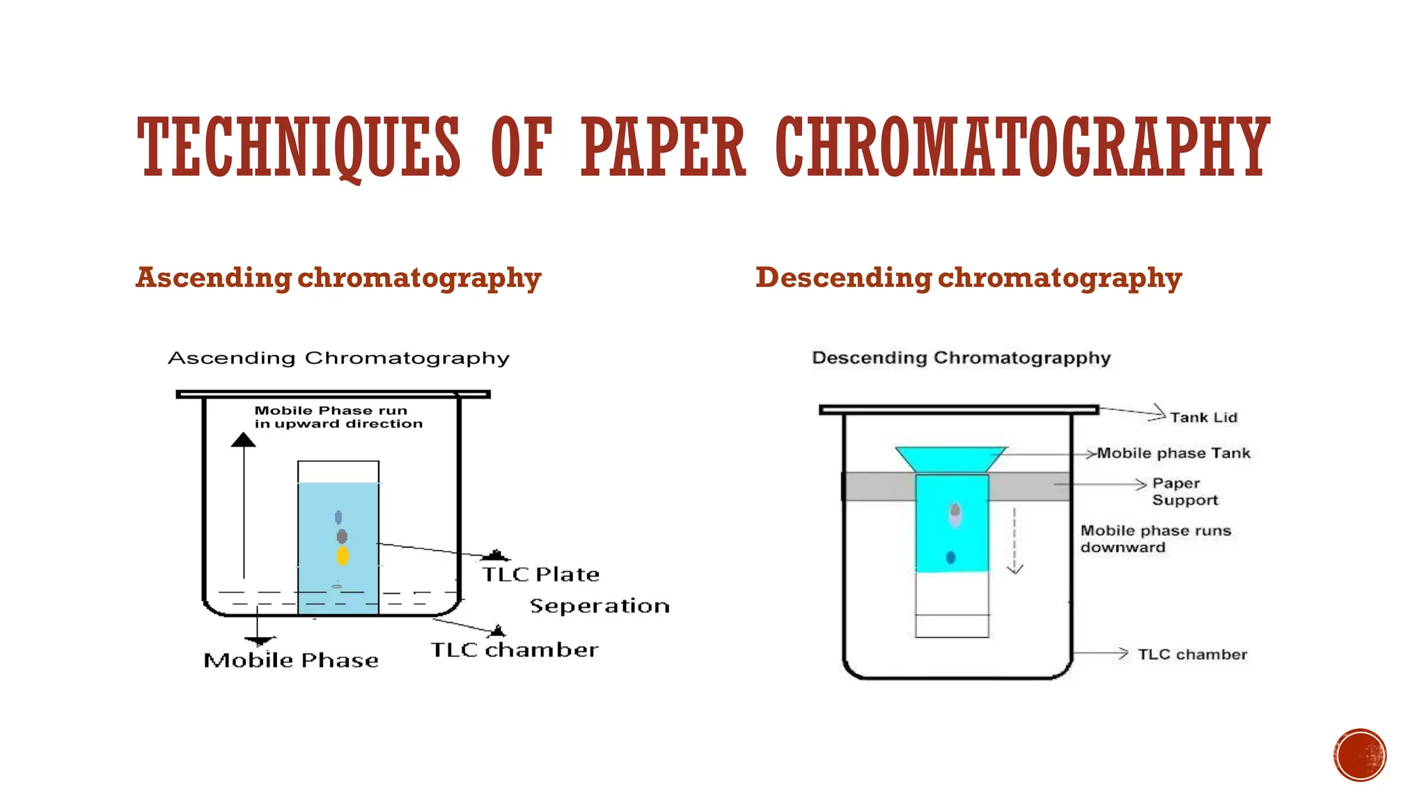 What is paper chromatography, principal, procedure,types, diagram ...