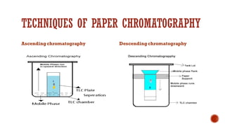 What is paper chromatography, principal, procedure,types, diagram ...