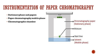 What is paper chromatography, principal, procedure,types, diagram ...