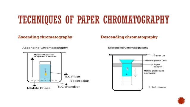 paper chromatography. The topic covered by definition of paper ...