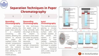 Paper Chromatography An In-Depth Exploration.pptx