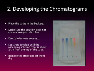 Paper chromatography(final) | PPTX