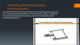 Paper chromatography its types and applications... | PPTX