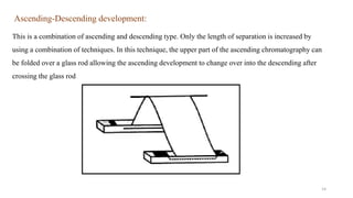 paper chromatography | PPTX