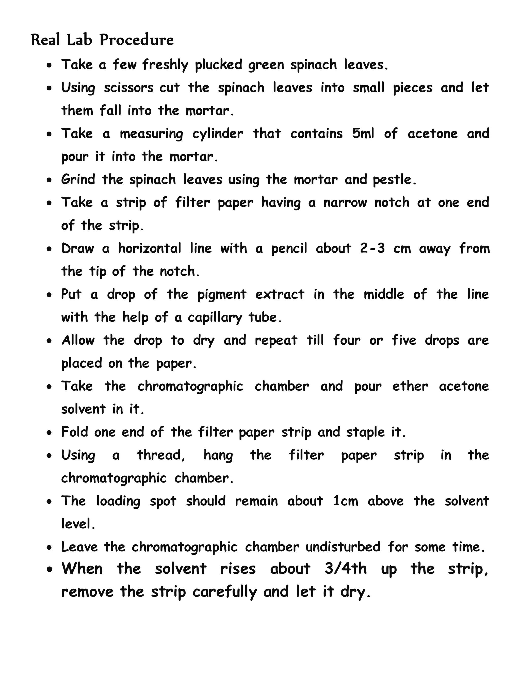 Paper chromatography of spinach leaf