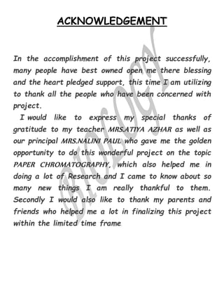 Paper chromatography of spinach leaf