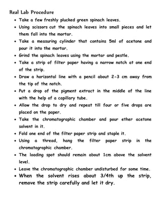 Paper chromatography of spinach leaf | PDF