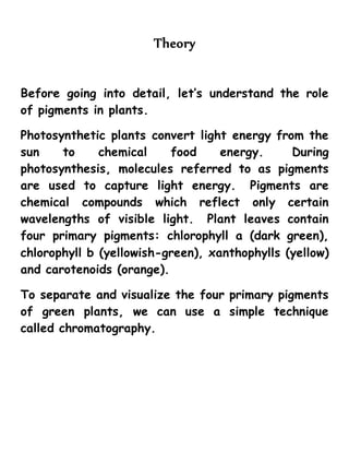 Paper chromatography of spinach leaf | PDF