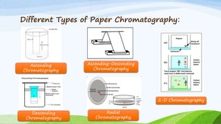 Paper chromatography | PPT