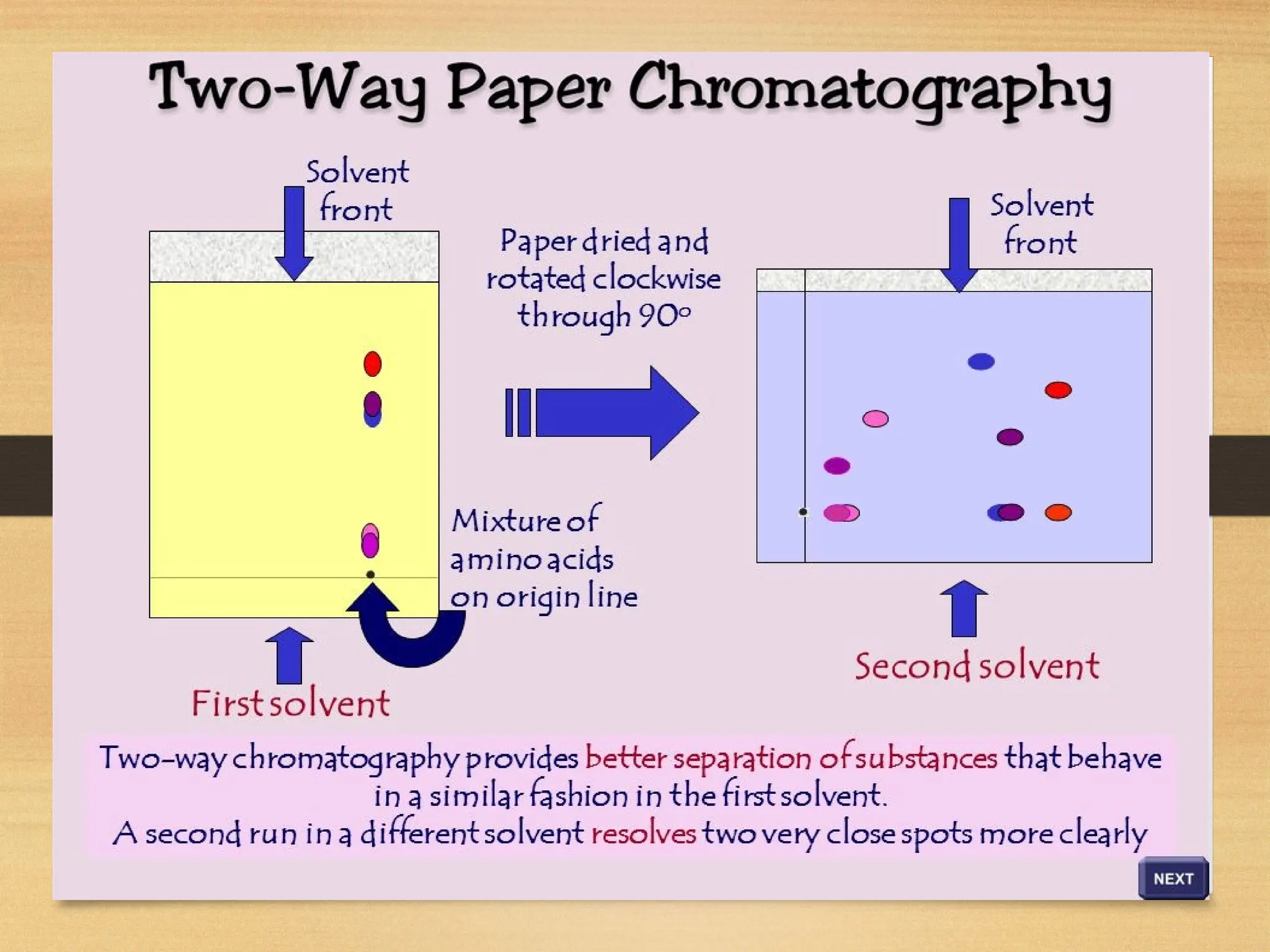 Paper Chromatography(ascending descending circular 2 dimensional Unit ...