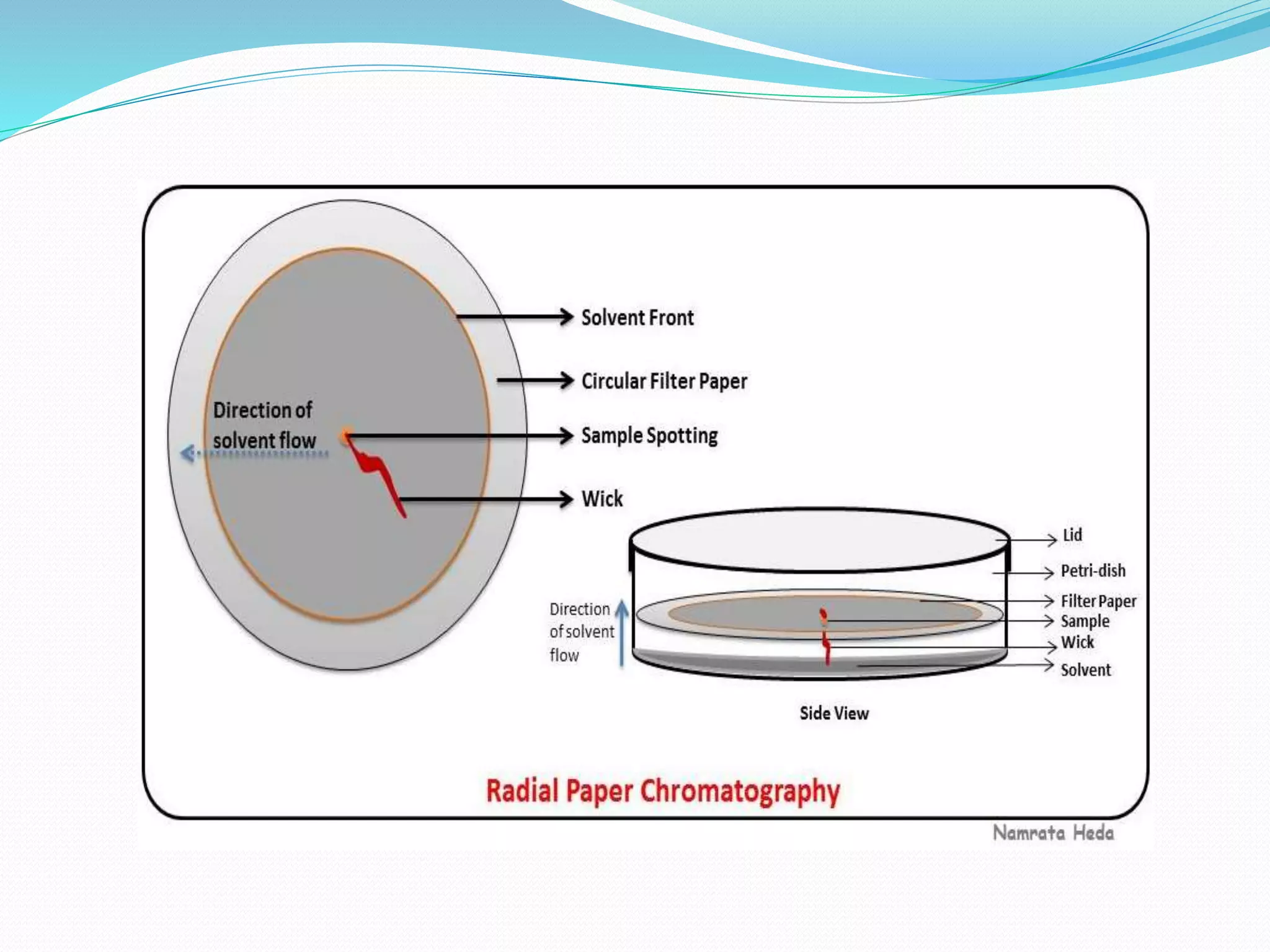 Paper chromatograpy ppt | PPT