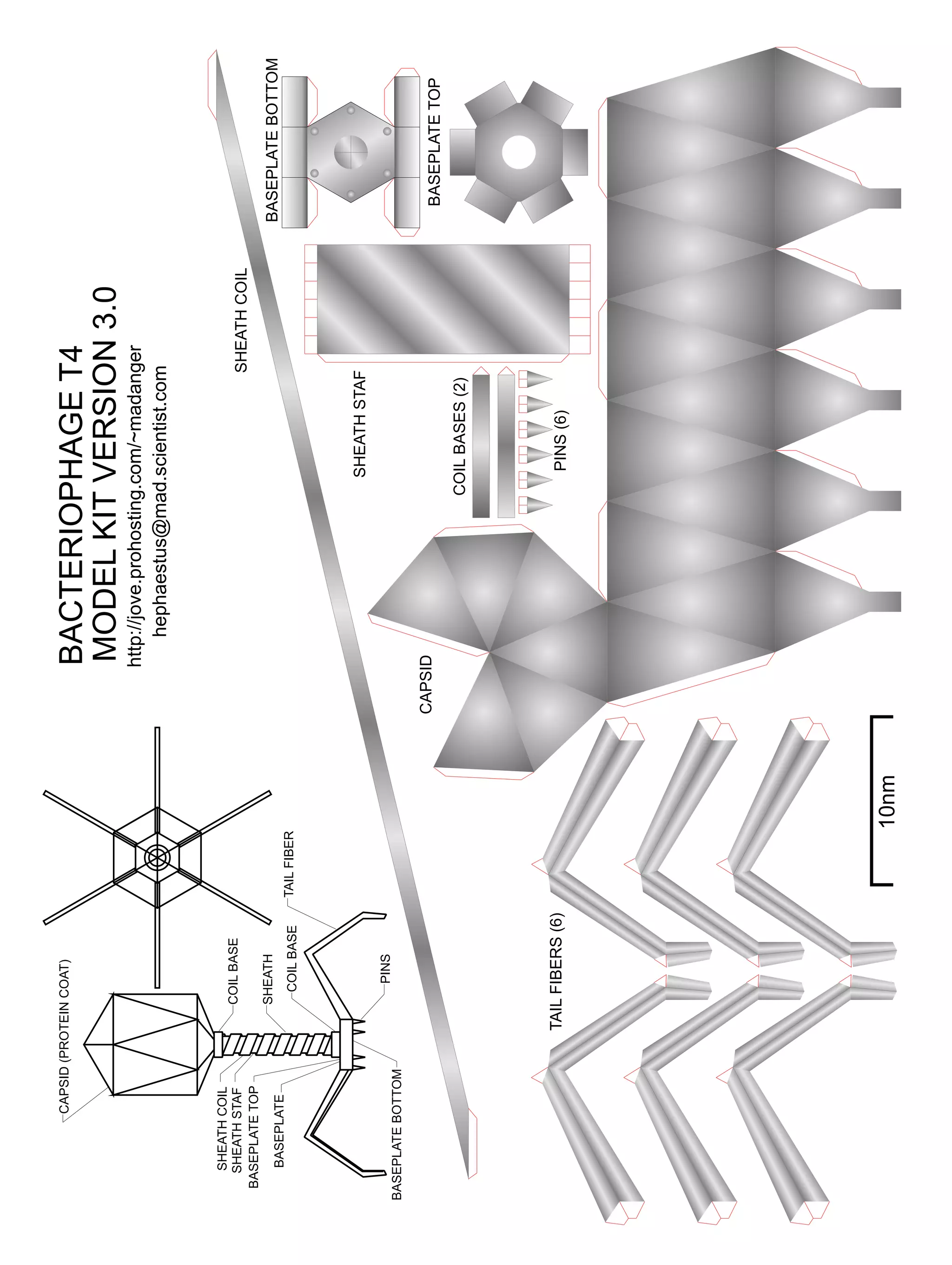 Papercraft virus | PDF