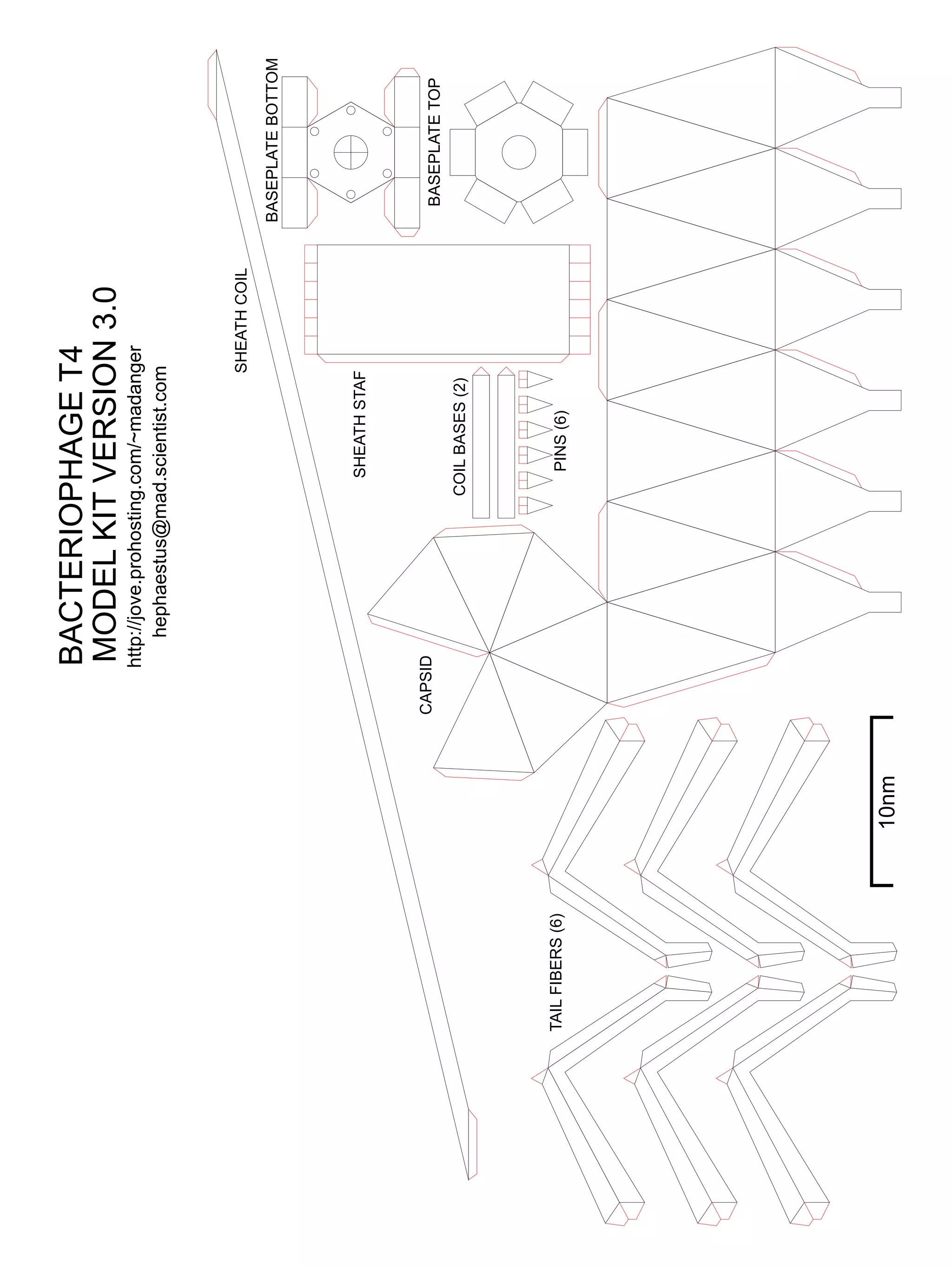 Papercraft virus | PDF