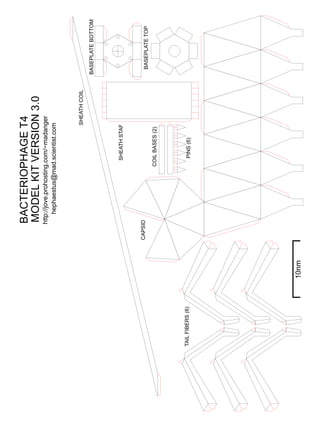 Papercraft virus | PDF
