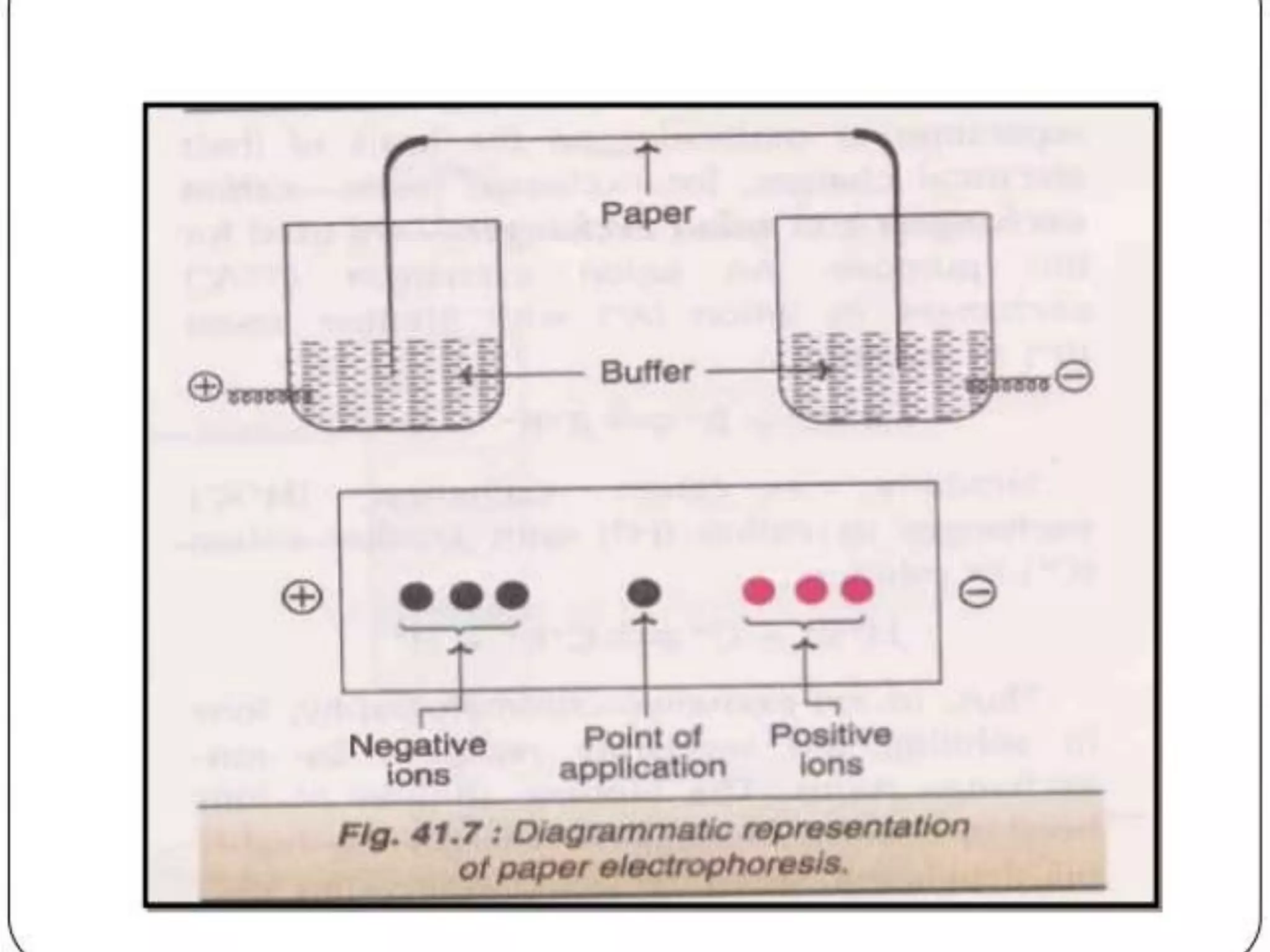 Paper electrophoresis | PPTX