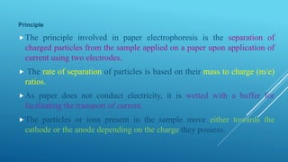 Paper electrophoresis ppt | PPTX