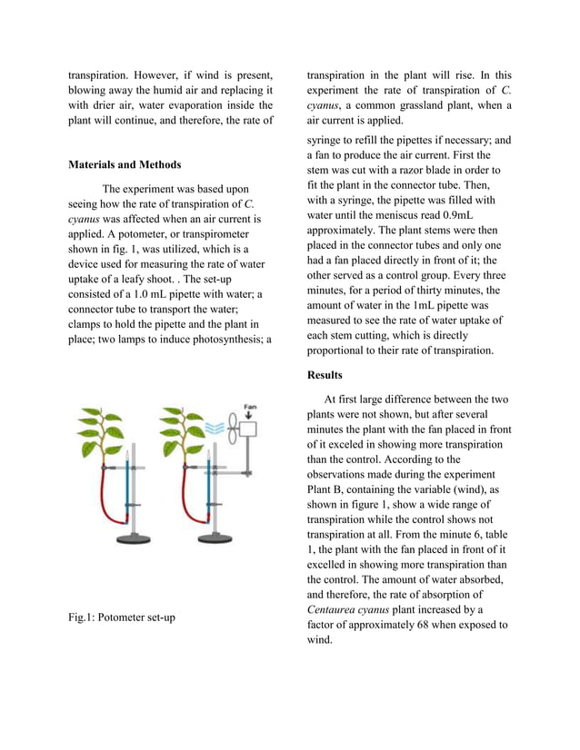 rate of transpiration | DOCX | Gardening | Home & Garden