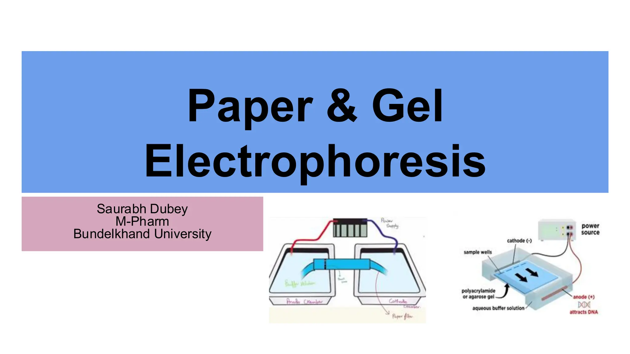 Paper & Gel electrophoresis by Saurabh Dubey.pdf
