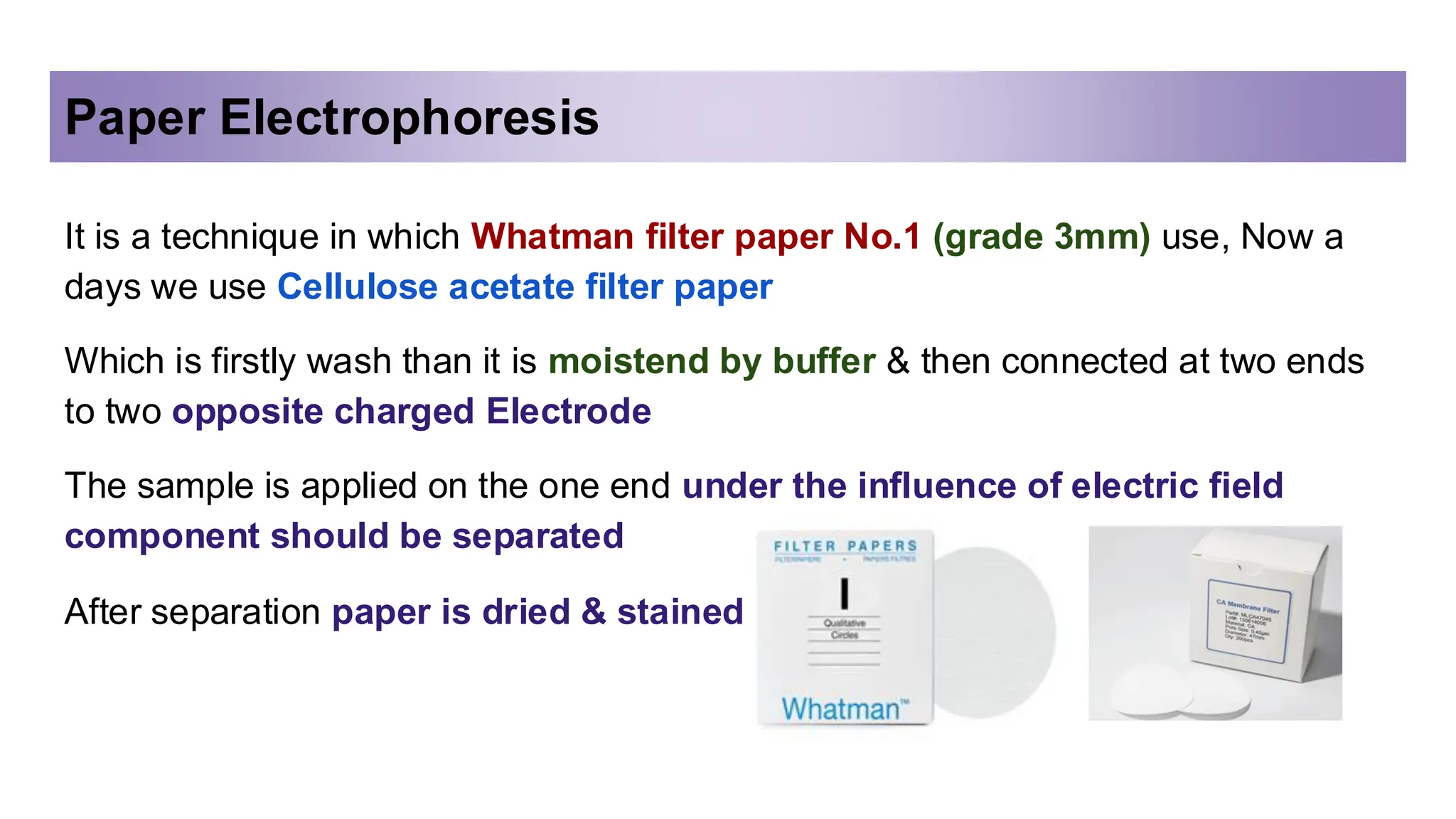 Paper & Gel electrophoresis by Saurabh Dubey.pdf