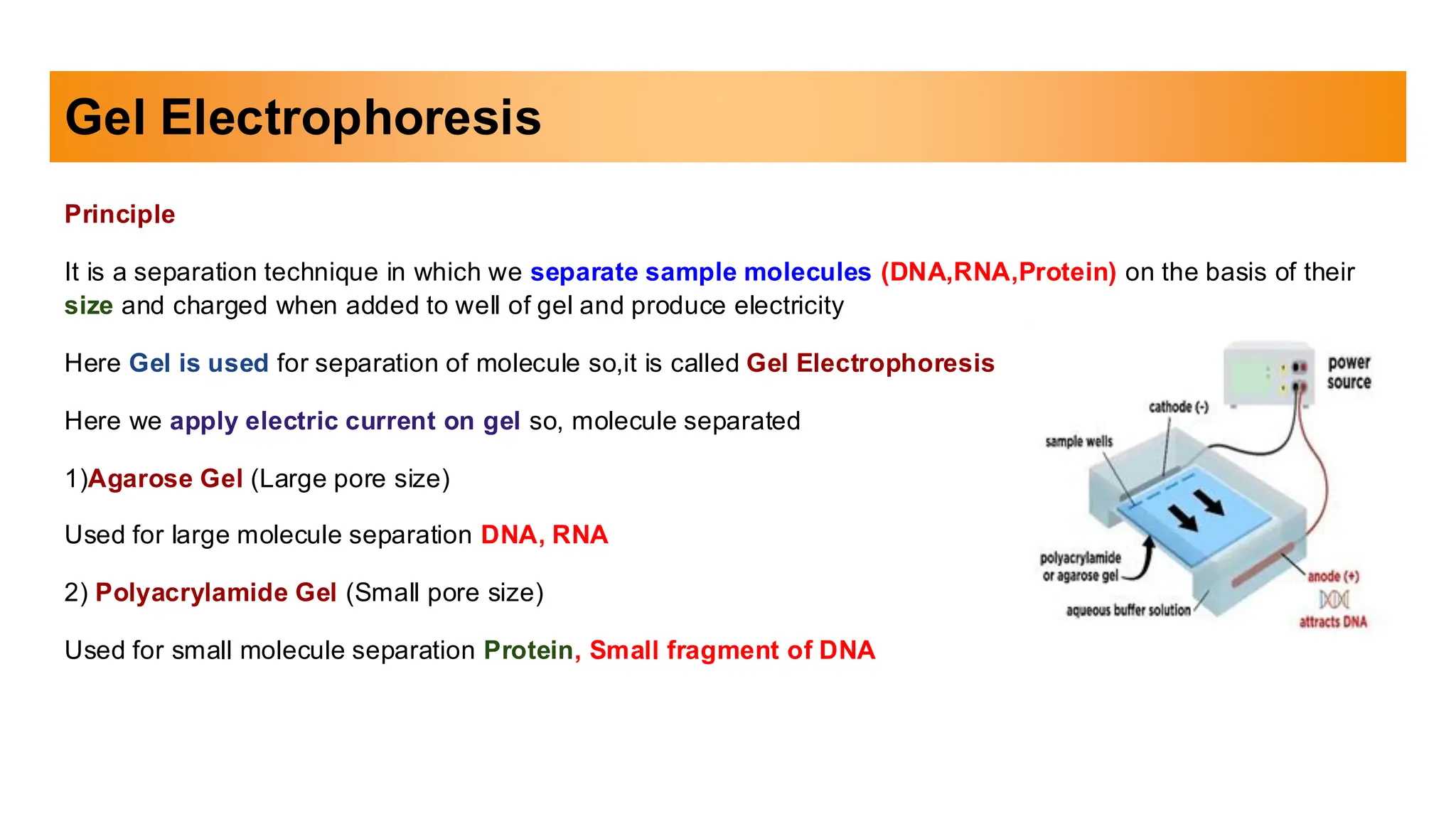 Paper & Gel electrophoresis by Saurabh Dubey.pdf