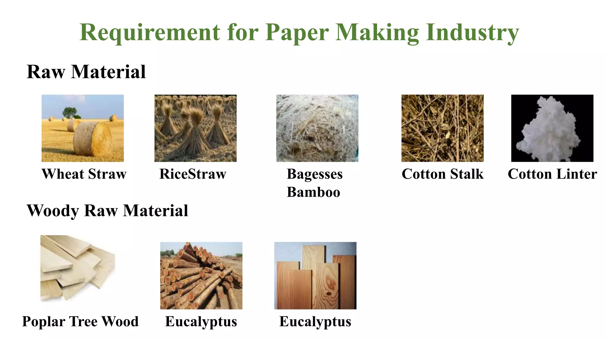 Paper industry .pptx