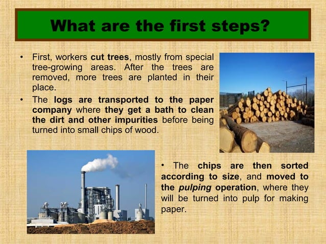 Papermaking portugal | PPT