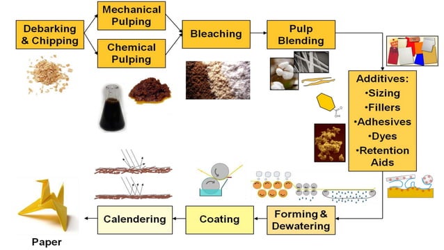 Paper making process | PPT
