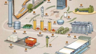 Paper making process | PPTX