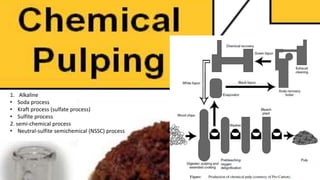 Paper making process | PPTX