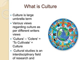 Paper no 8 Power and Culture | PPTX