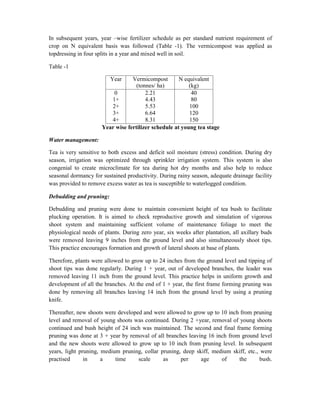 Paper on tea management | PDF