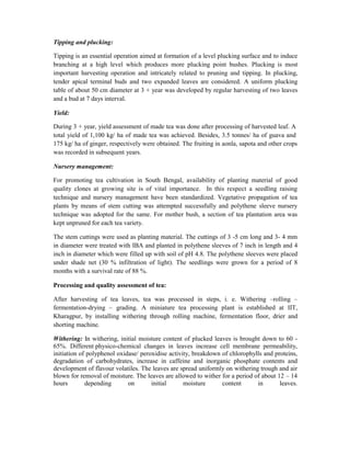 Paper on tea management | PDF