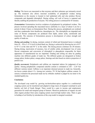 Paper on tea management | PDF